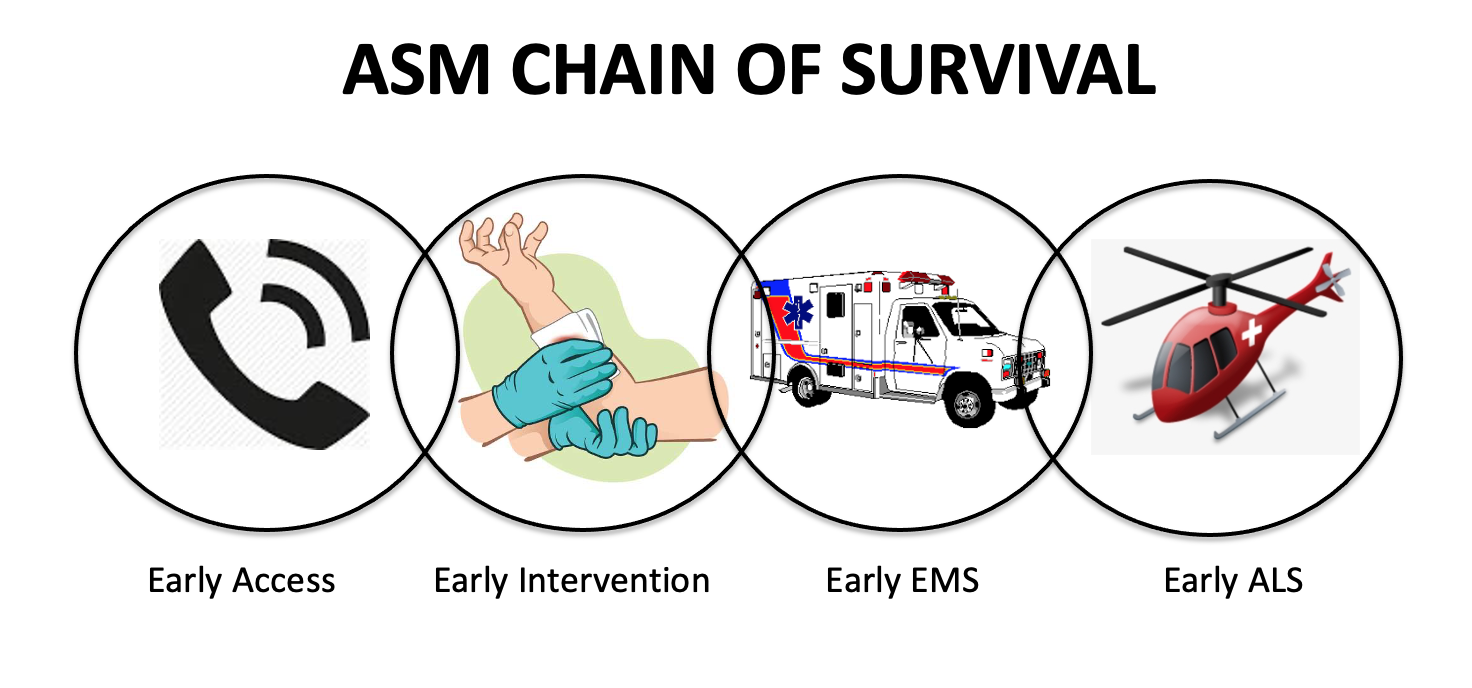 ASM Chain of Suvival | Road Guardians