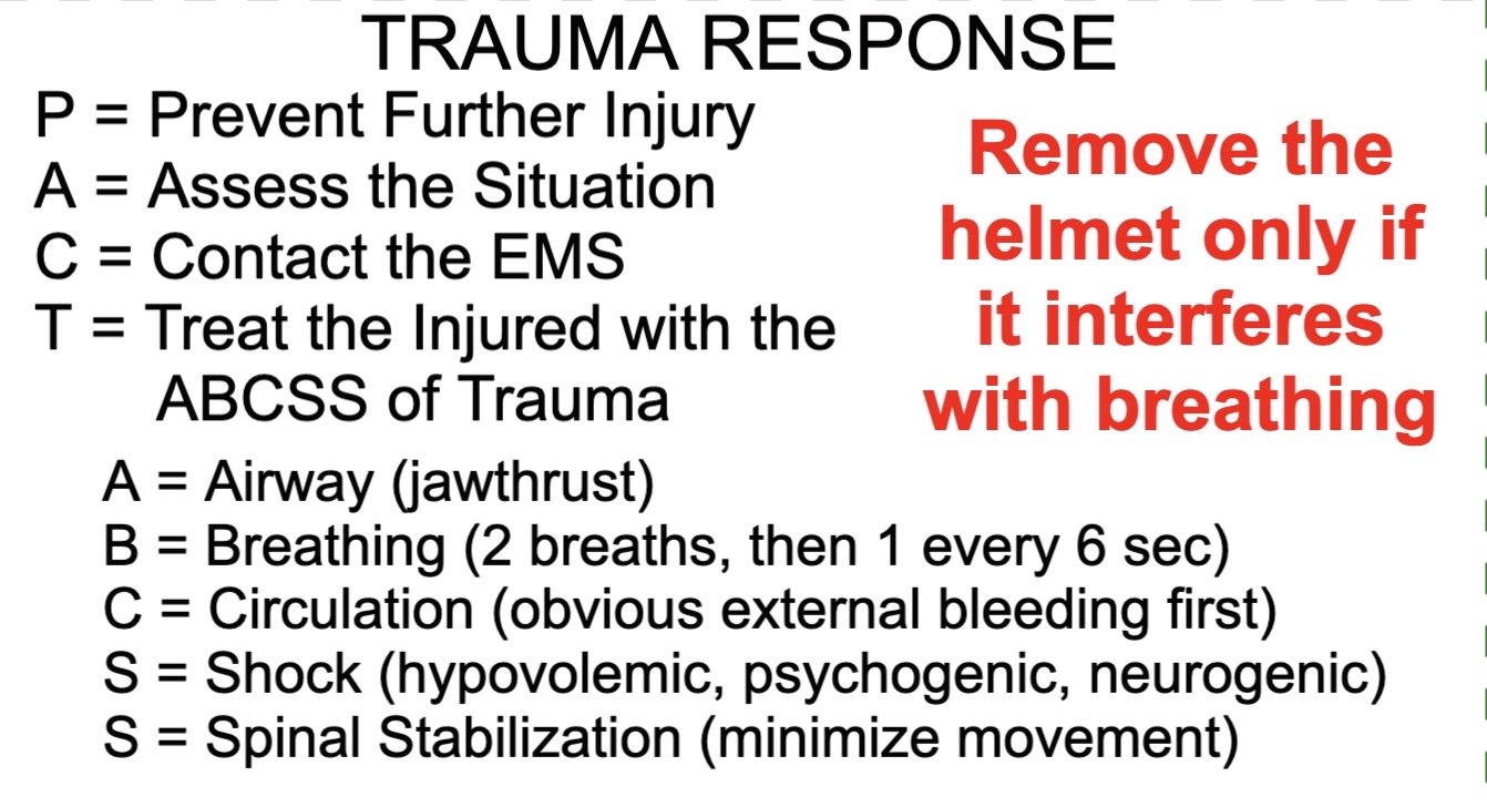 New Free PACT Cards | Road Guardians